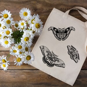 Cecropia Moth SVG / PNG Files I Original Artwork I Instant Digital ...