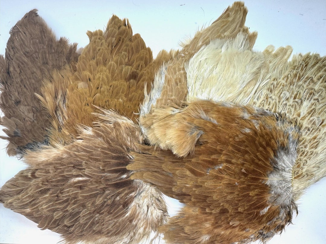 A Grade Brown Hen Capes Natural Colours for Craft Soft Hackles Fly ...