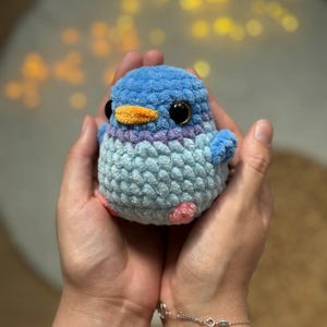 Chubby Birds NO-SEW 5 in 1 Crochet Pattern Amigurumi Plushie Bird ...