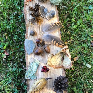 Dried Mix of Forest Findings/forest Floor Foraging Collection/ Dried ...