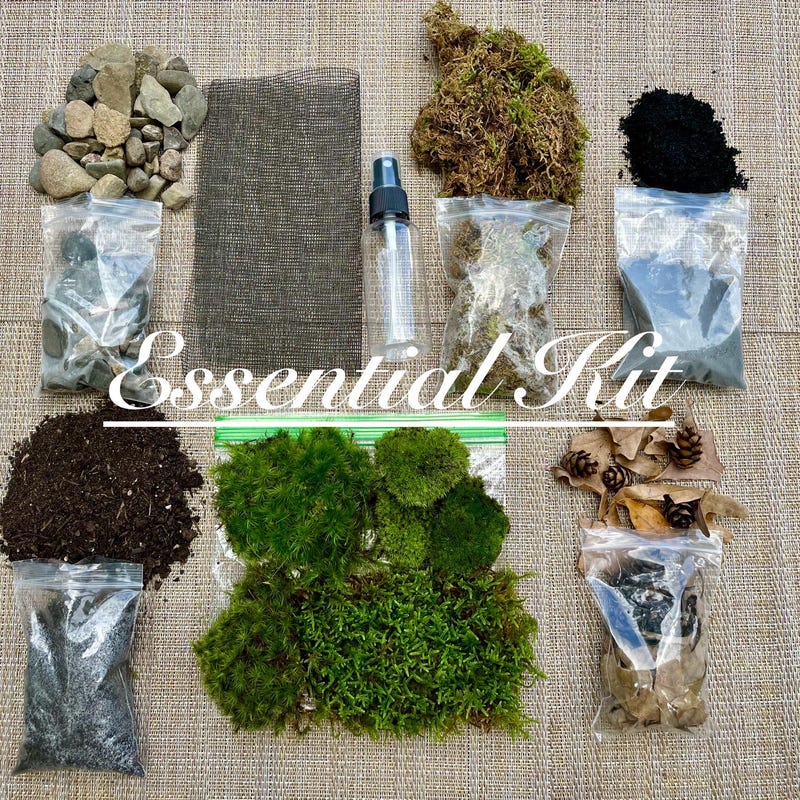 Roots for Terrariums - Etsy