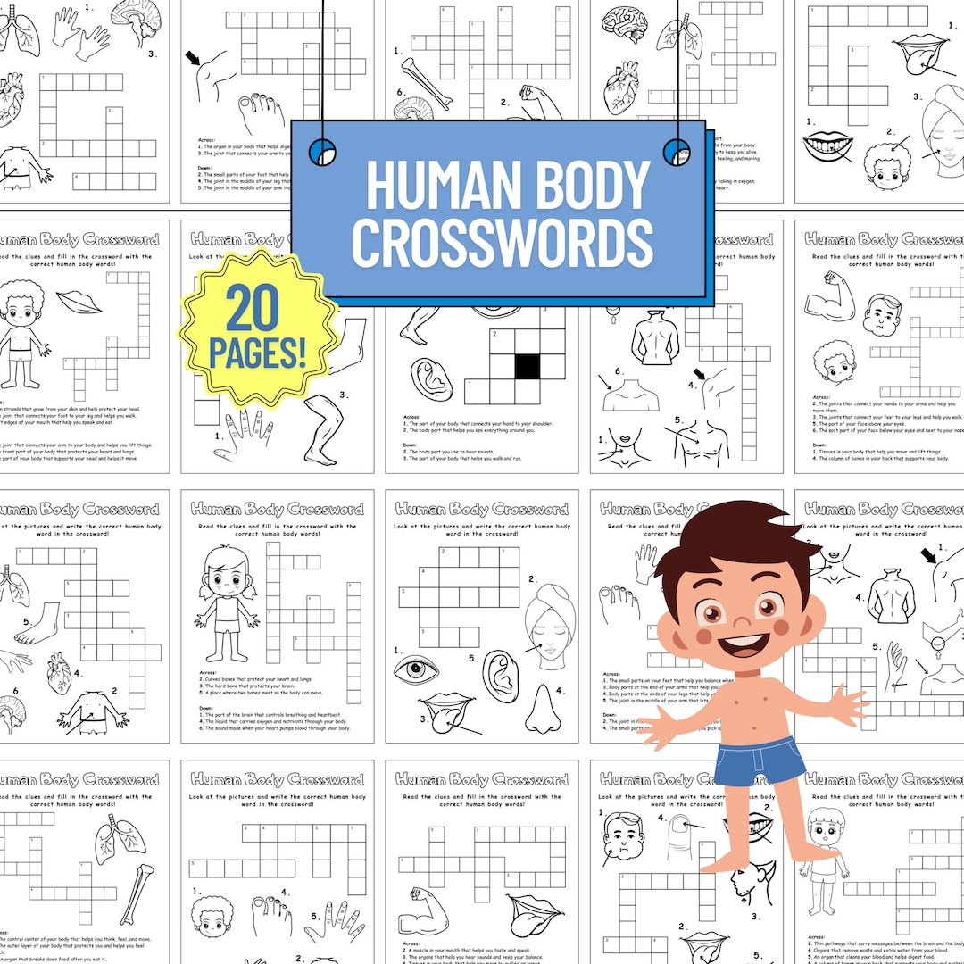 Human Body Crossword Puzzle – 20-page Activity Bundle (ages 8-10, PDF ...
