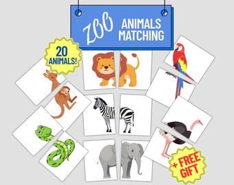 Zoo Animal Matching Game: Preschool Kindergarten Activity (digital ...