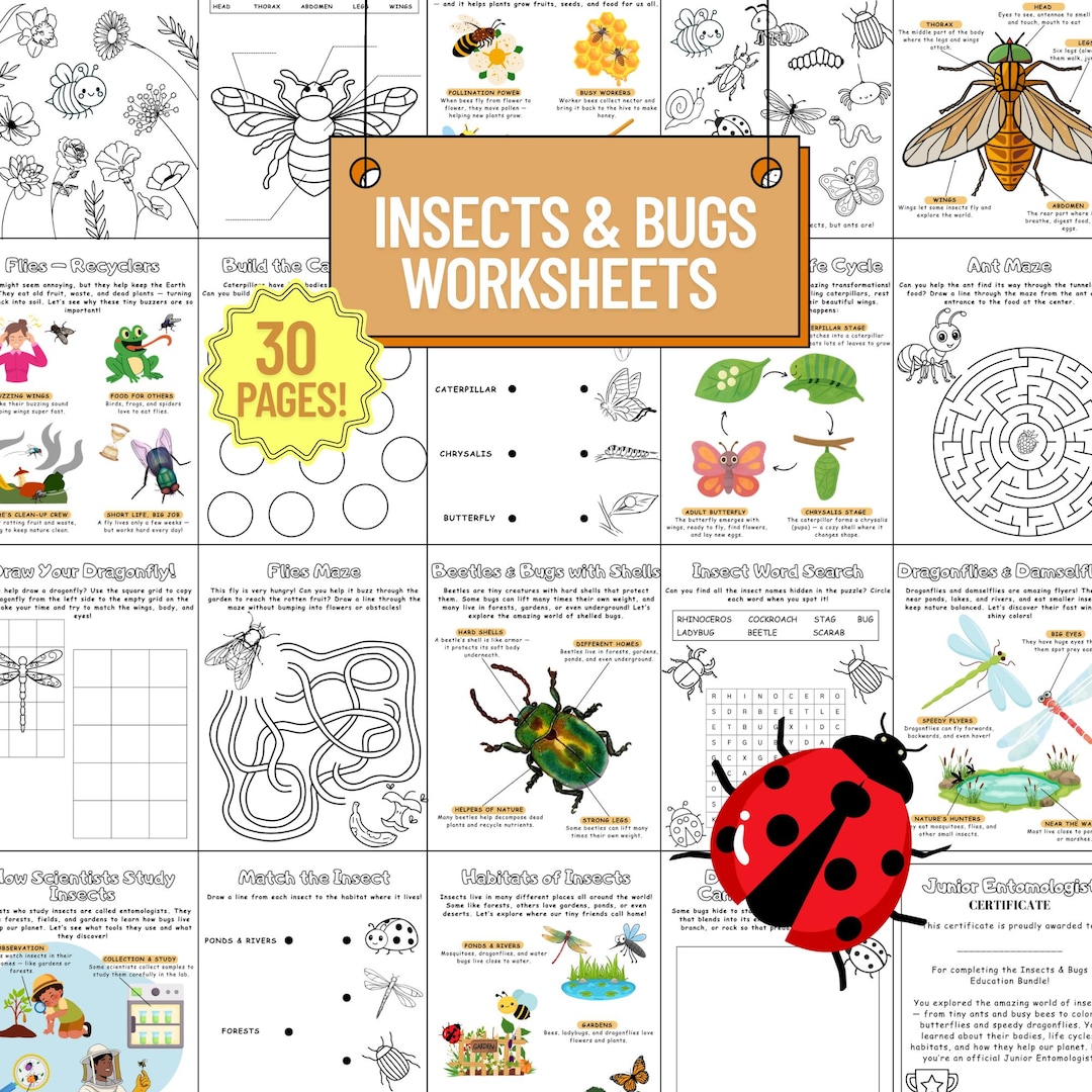 Insects & Bugs Activity Bundle: 30 Science Worksheets (PDF) - Etsy New ...