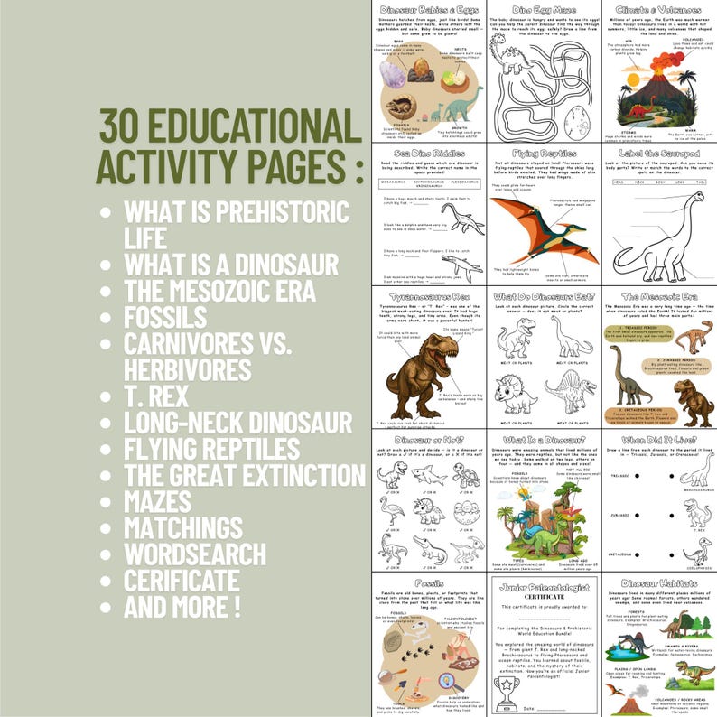 Dinosaur Activity & Learning Printables: Homeschool Bundle (30 Pages ...