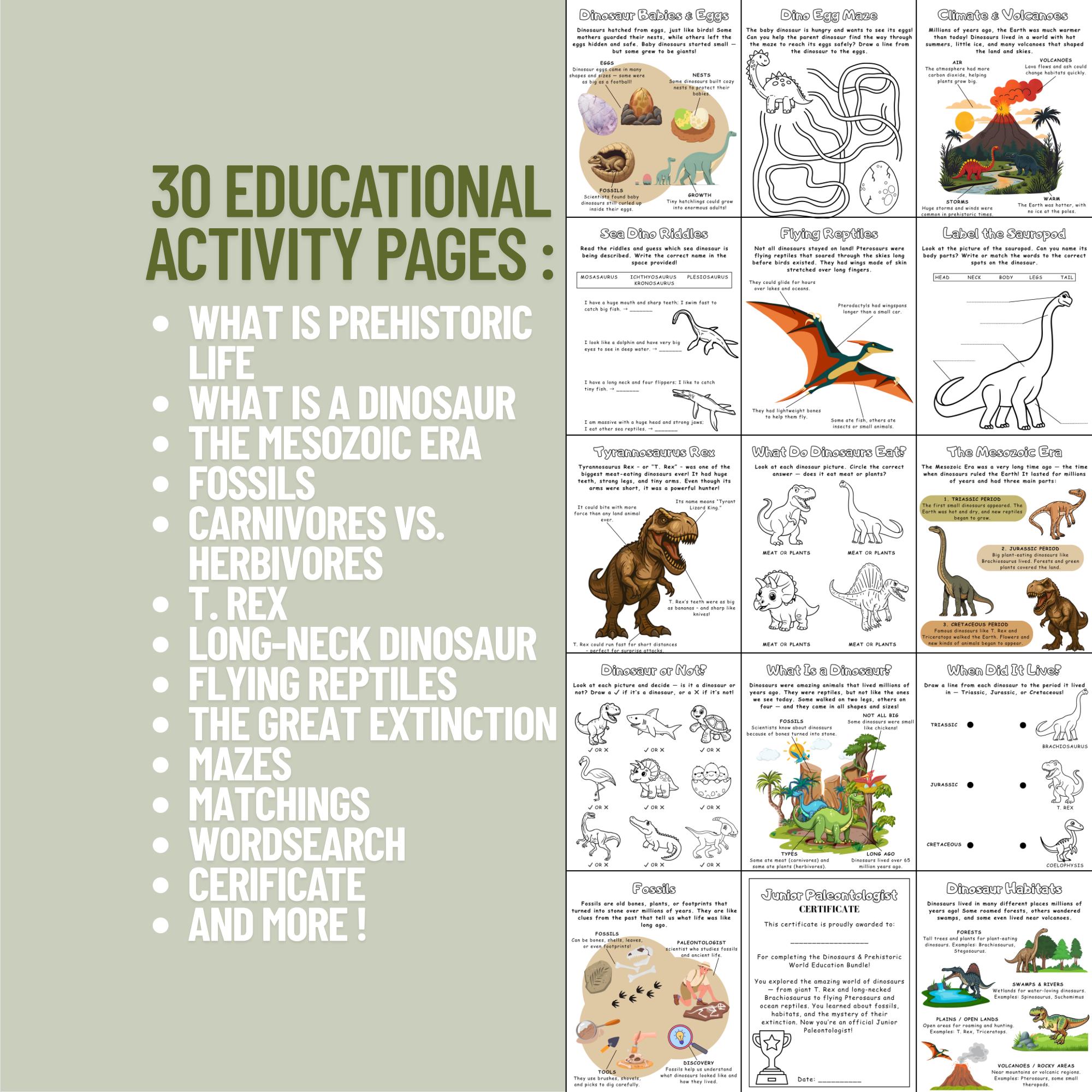 Dinosaur Activity & Learning Printables: Homeschool Bundle (30 Pages ...