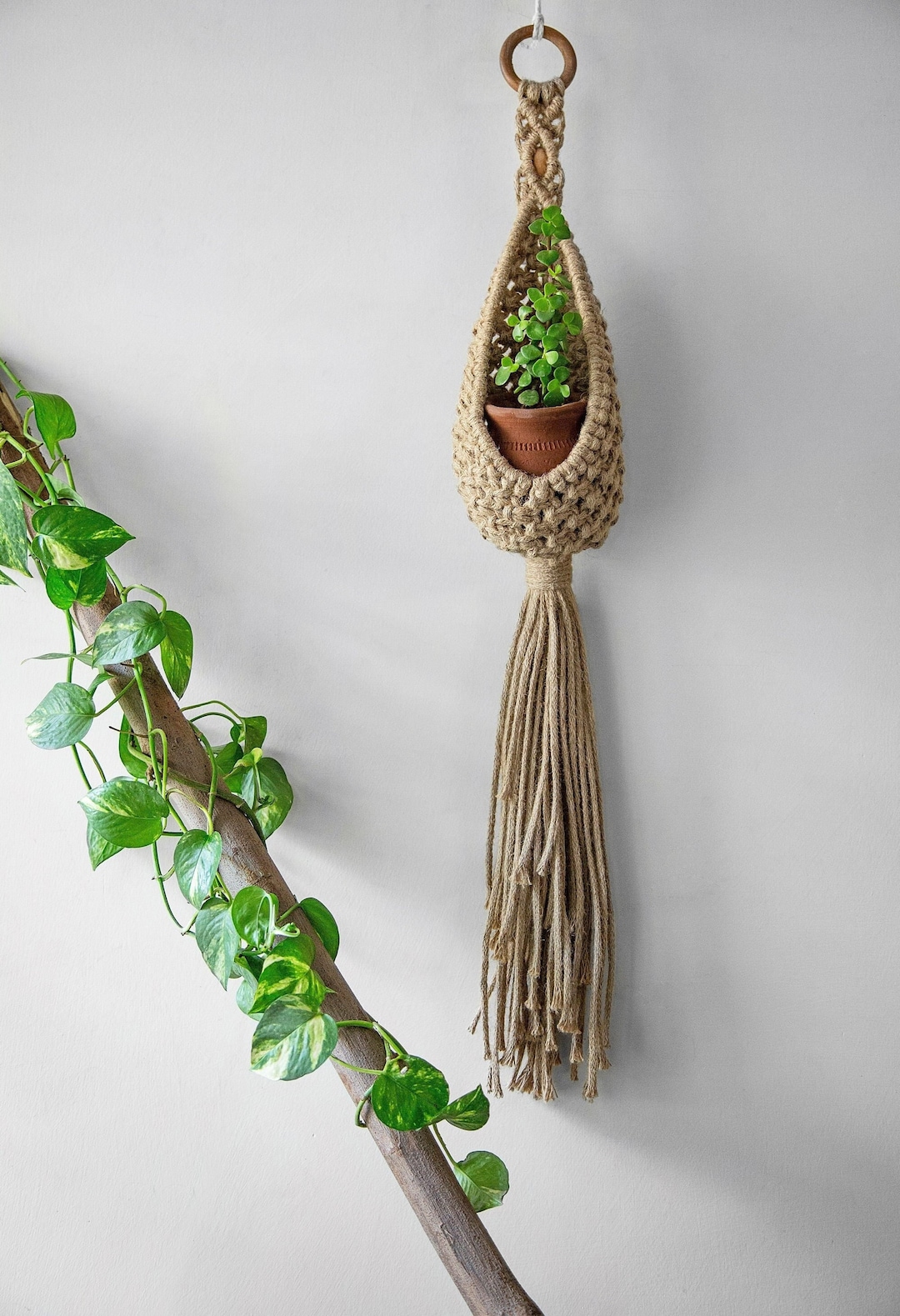 Buy Jute Pod Online in India - Etsy