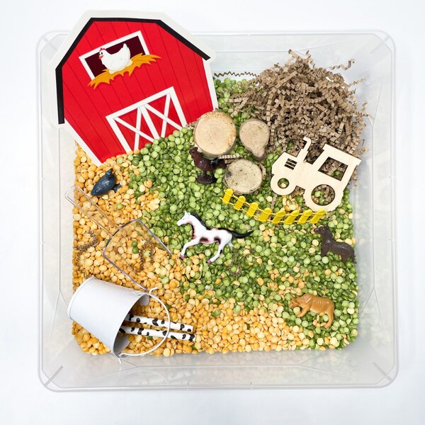 Sensory Bin - Etsy