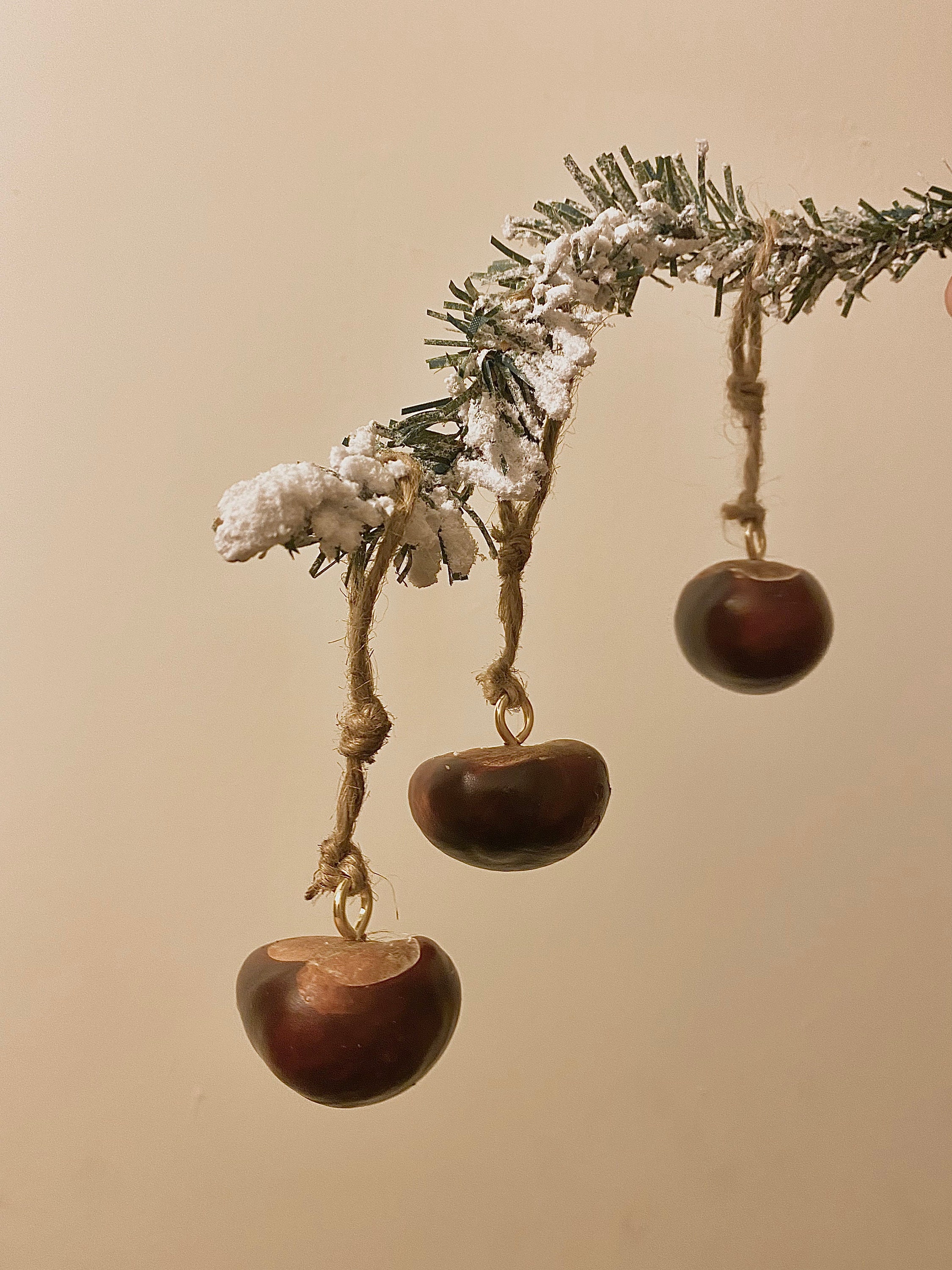 Conker Christmas Decorations - Etsy