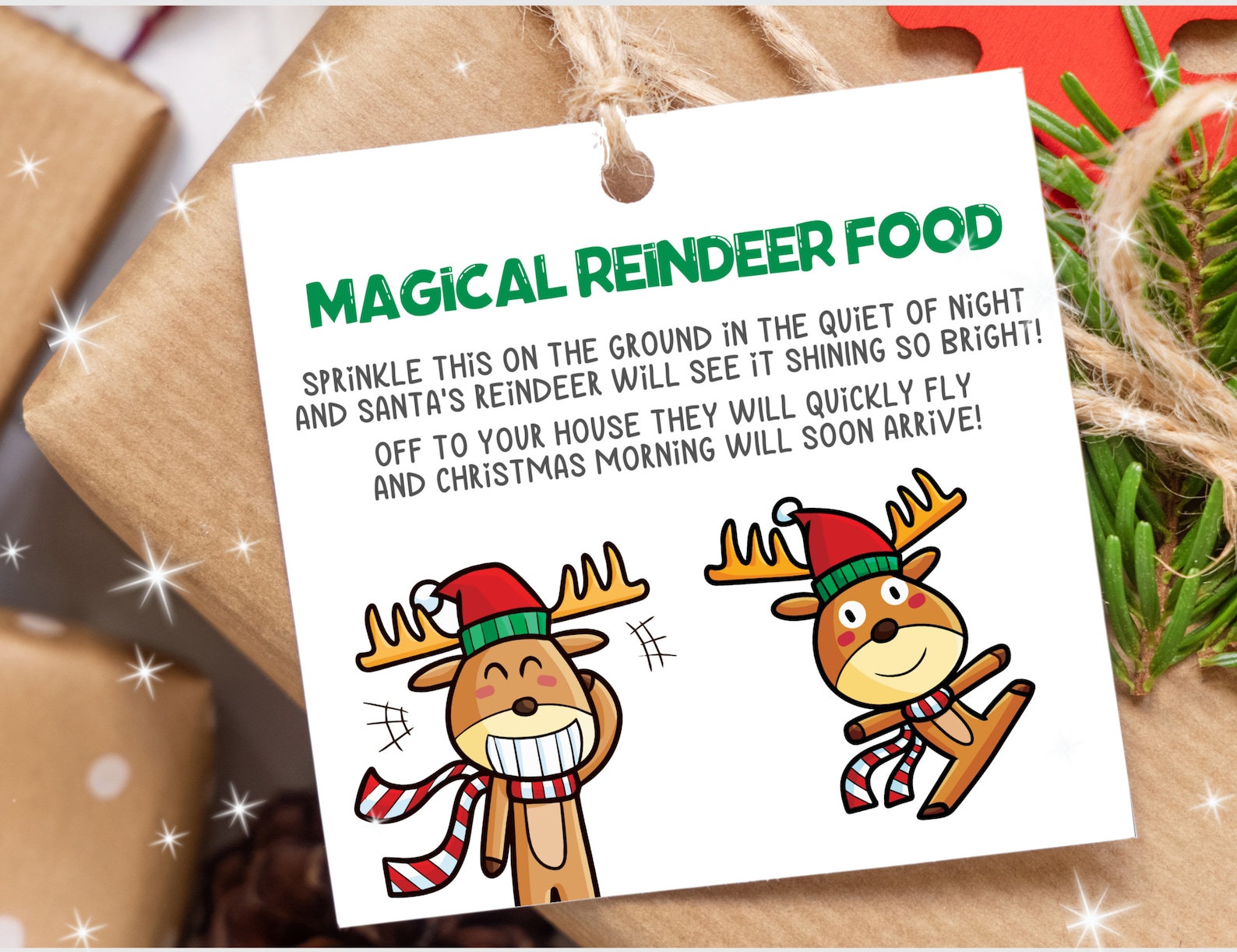 Printable Reindeer Food Tags, Magical Reindeer Food Tag, Christmas Eve ...