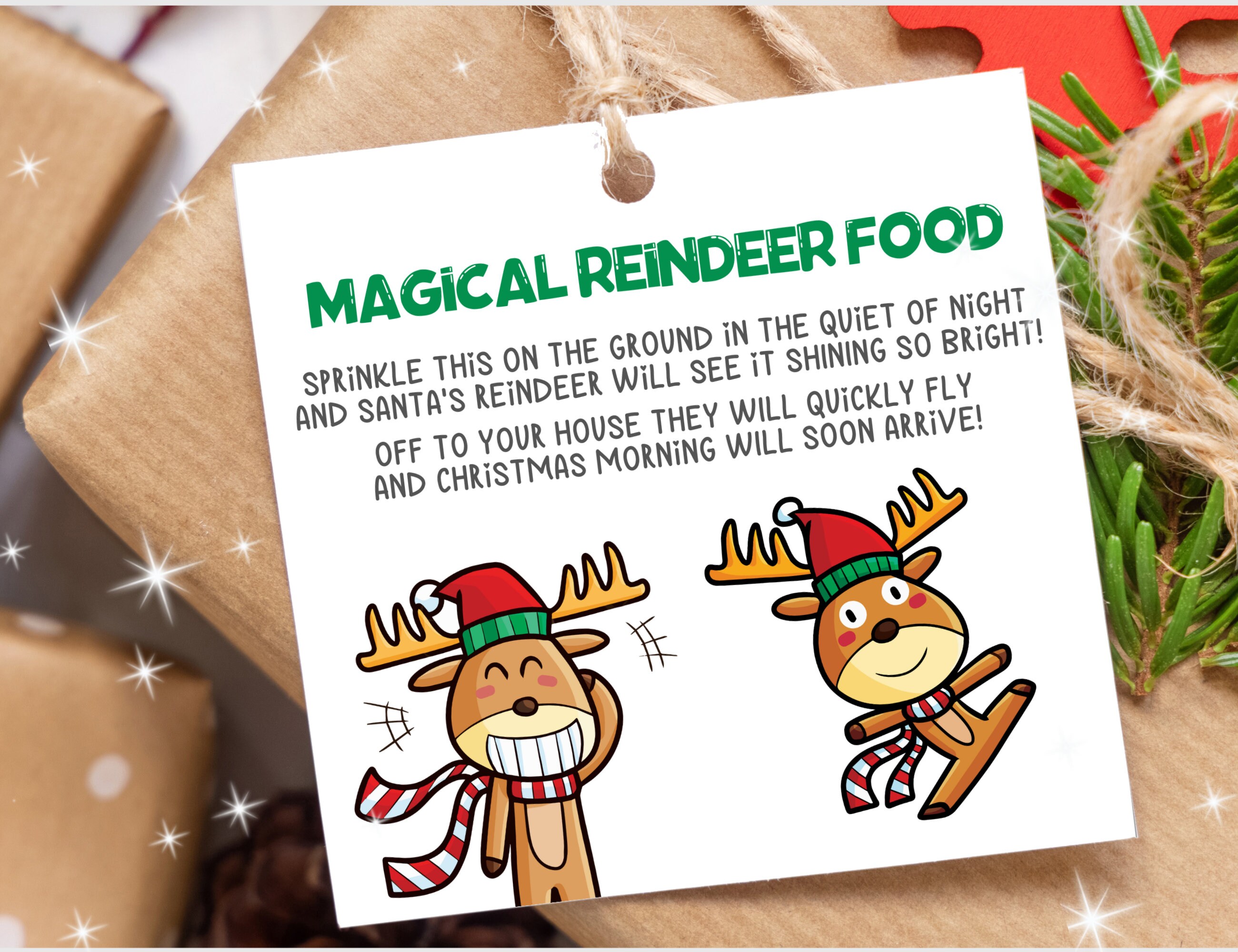 Printable Reindeer Food Tags, Magical Reindeer Food Tag, Christmas Eve ...