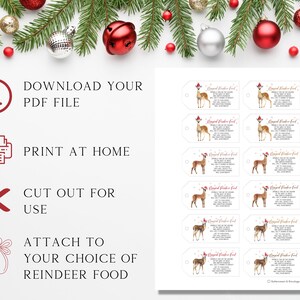 Printable Reindeer Food Tags, Magical Reindeer Food Tag, Christmas Eve ...