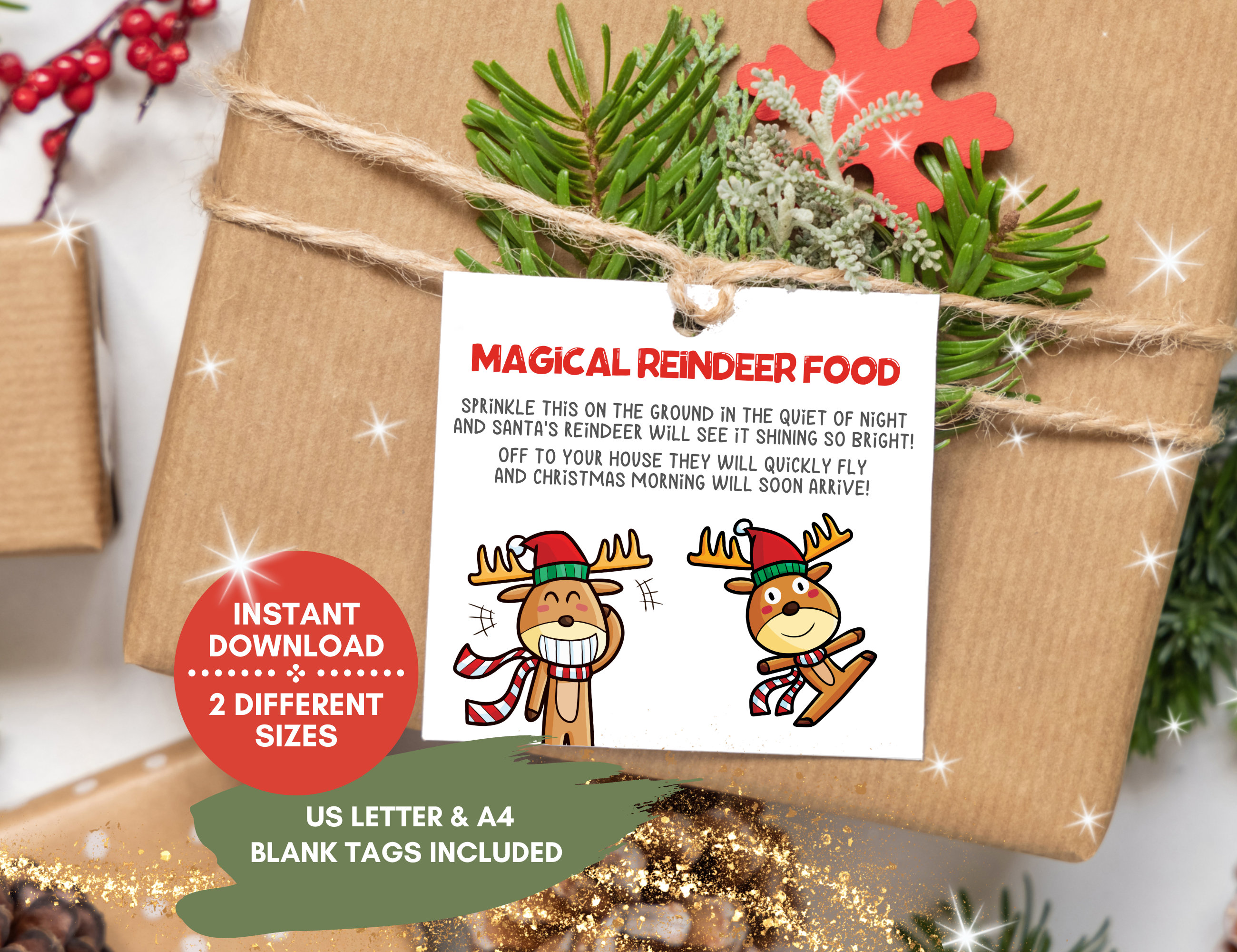 Printable Reindeer Food Tags, Magical Reindeer Food Tag, Christmas Eve ...