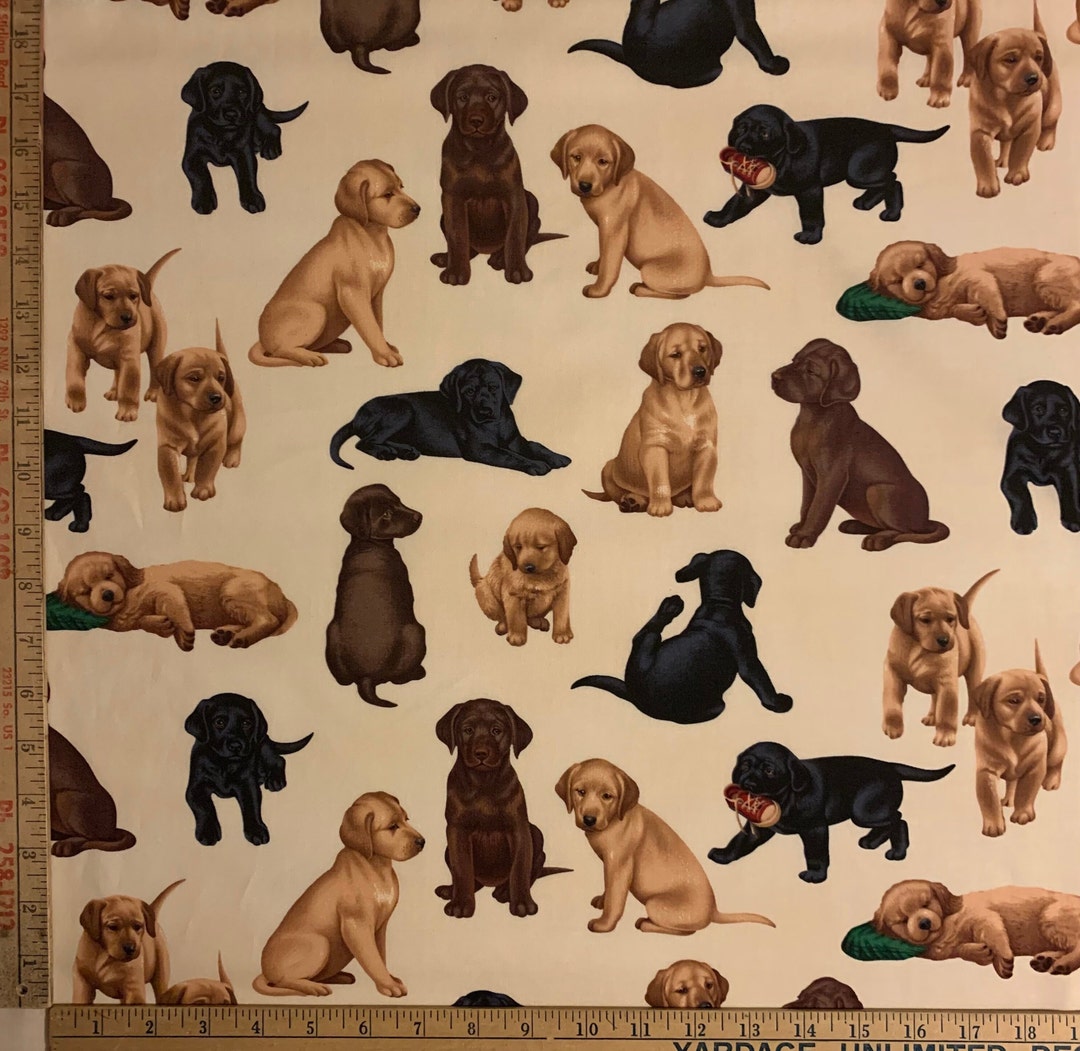 Lab Puppies BTY Cotton Fabric Labrador Retriever K9 Cream Beige TT ...