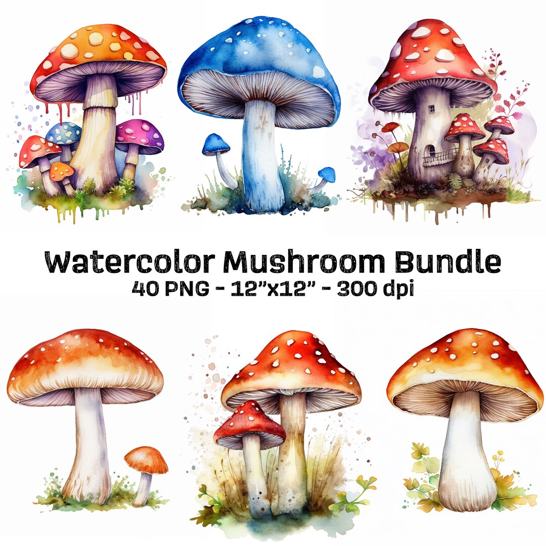 Watercolor Mushroom Clipart Bundle - 40 PNG Sublimation Designs for ...