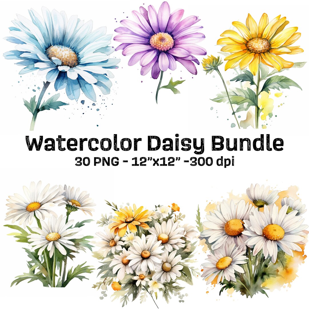 Watercolor Daisy Clipart Bundle - 30 Floral PNG Designs for Summer ...