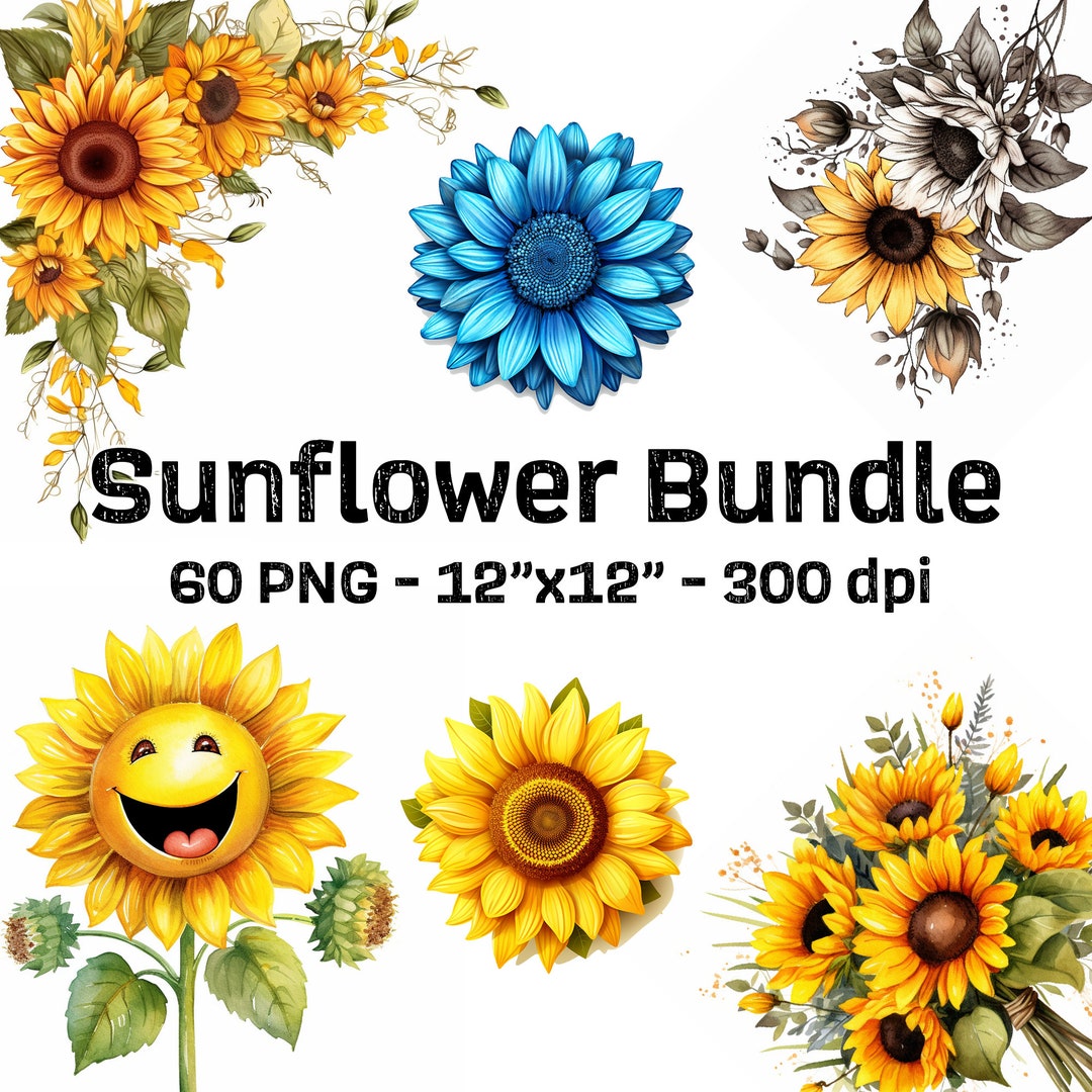 60 Sunflower Clipart Bundle Sunflower Png Watercolor Sunflower Painting ...