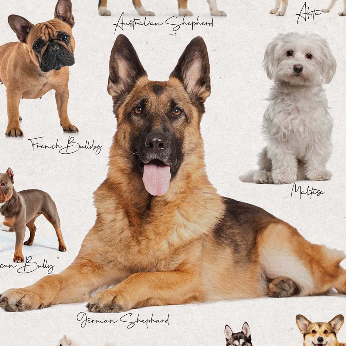 Dogs of the World, Digital Printable, Dog Poster With Names, Book ...
