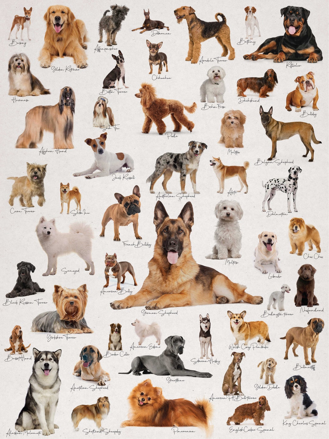 Dogs of the World, Digital Printable, Dog Posters, Book Jacket, Gift ...