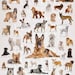 Dogs of the World, Digital Printable, Dog Poster With Names, Book ...
