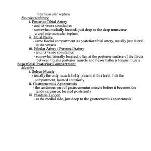 Ultimate Color Coded Anatomy Bundle Packet - Etsy