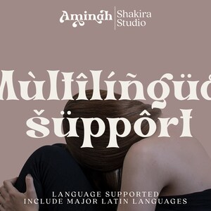 Aminah - Retro Serif Font, Elegant Font, Canva Font, Modern Font, Boho ...