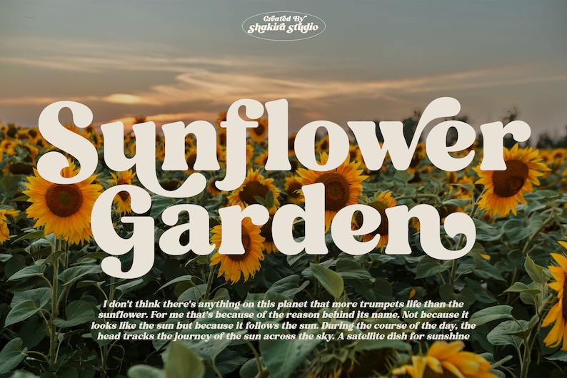 Fresh Mango - Retro Serif Font, Elegant Font, Canva Font, Modern Font ...