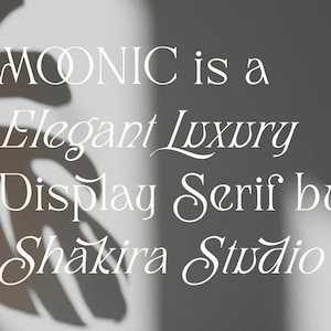 Moonic - Retro Serif Font, Elegant Font, Canva Font, Modern Font, Boho ...
