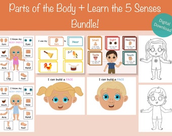 Body Parts Busy Book - Etsy