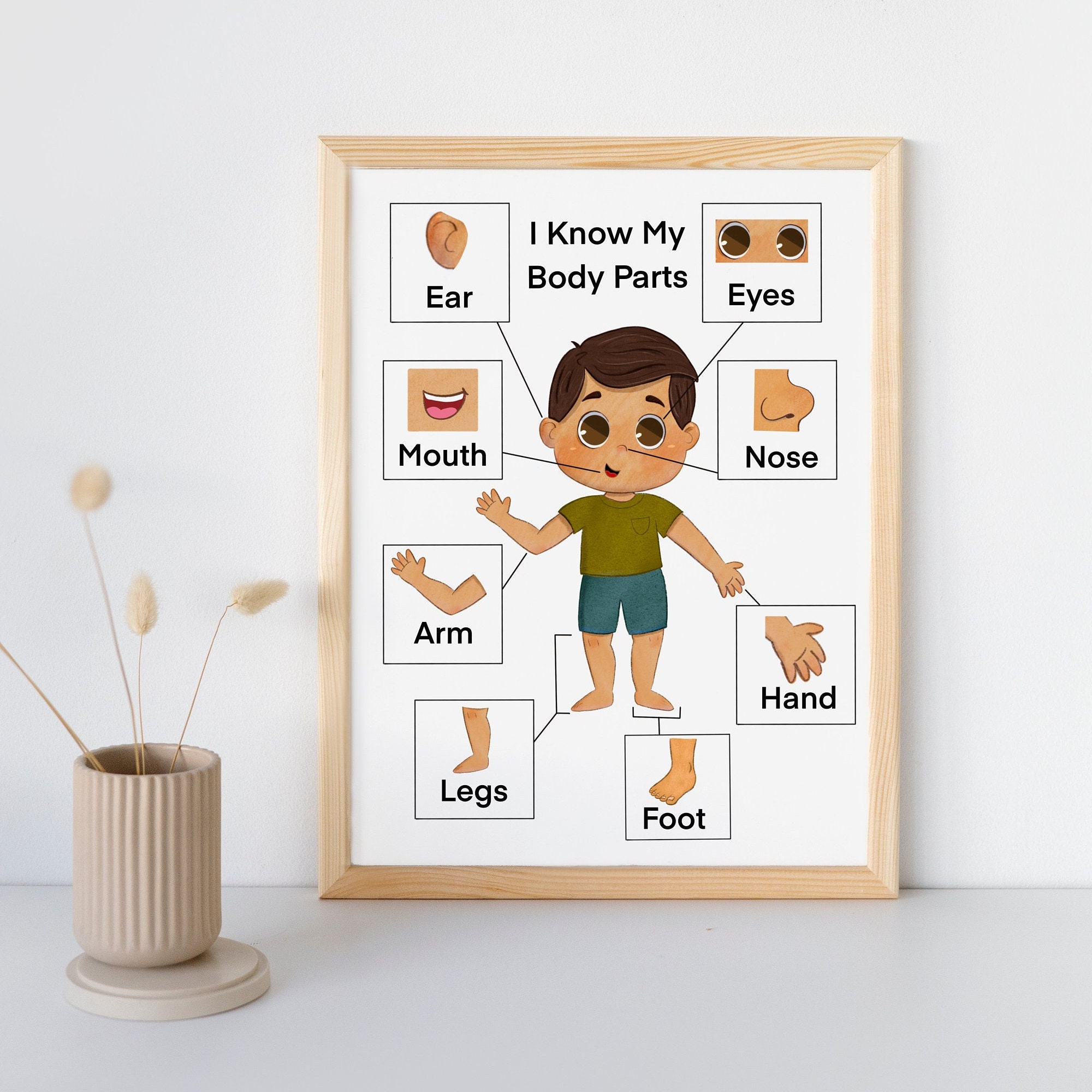 Anatomy Poster, Anatomy for Kids, Parts of the Body, Educational ...
