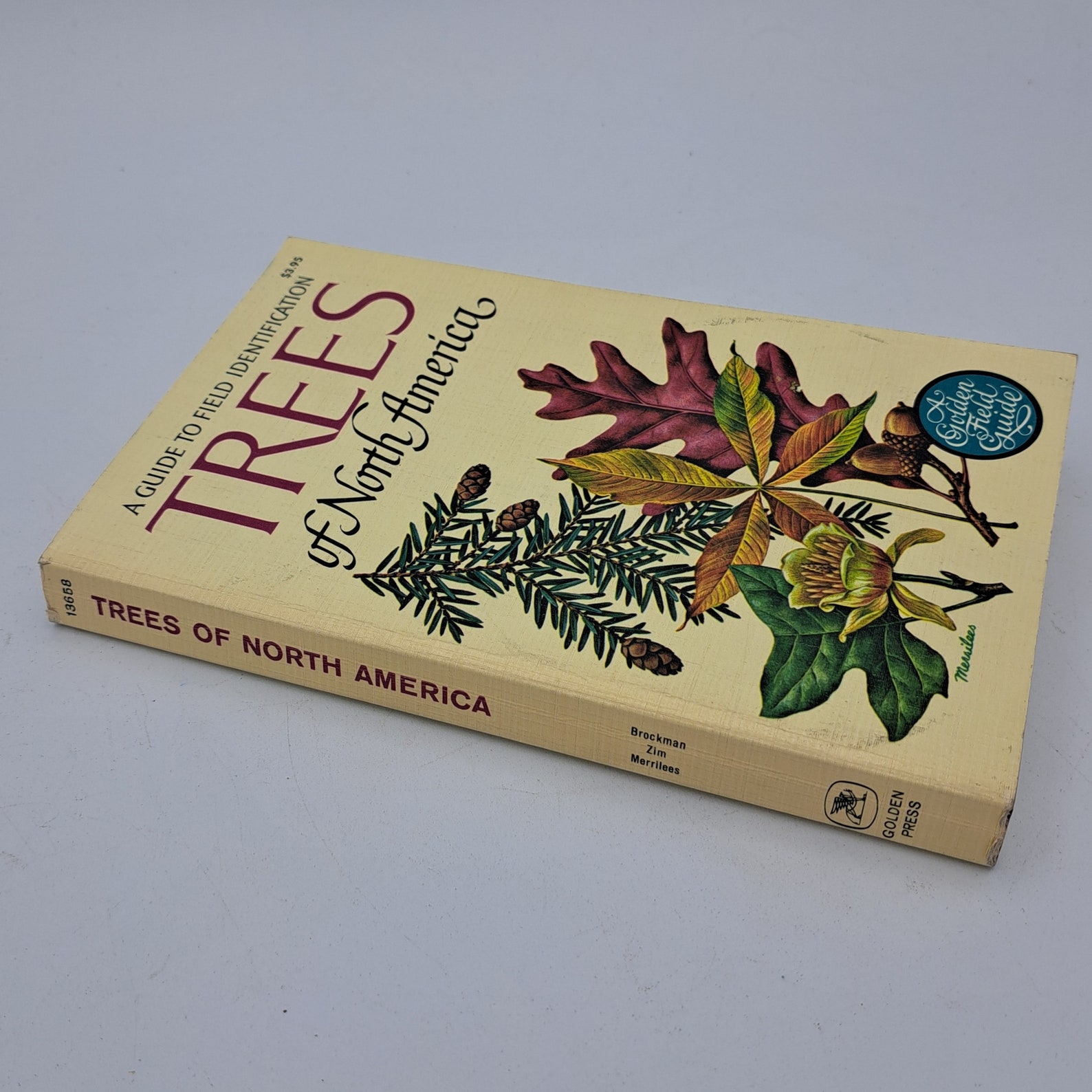 Vintage Book - A Guide to Field Identification Trees of North America ...