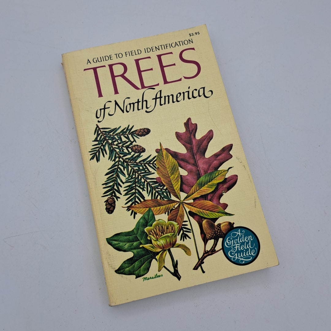 Vintage Book - A Guide to Field Identification Trees of North America ...
