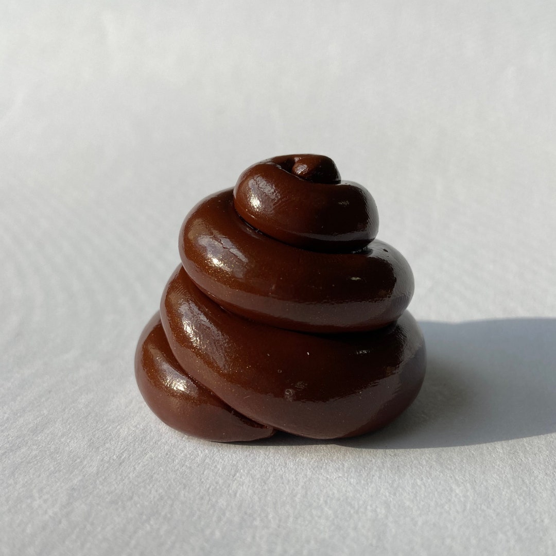 Piece of Poop Worry Stone Friend - Etsy