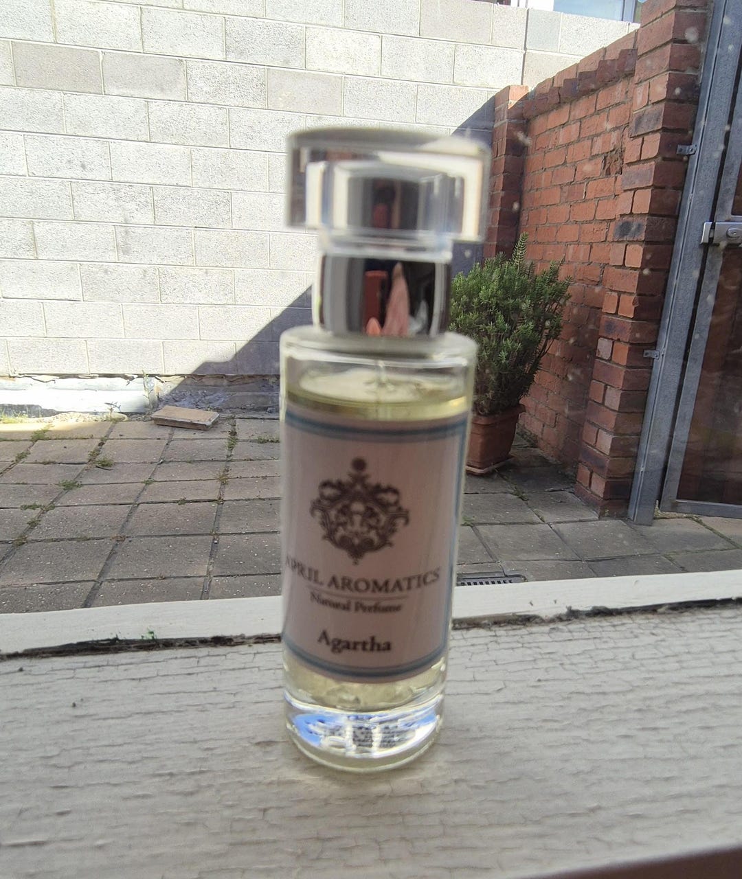 April Aromatics Agartha Eau De Parfum, 30ml, Niche Fragrance, Fruit ...
