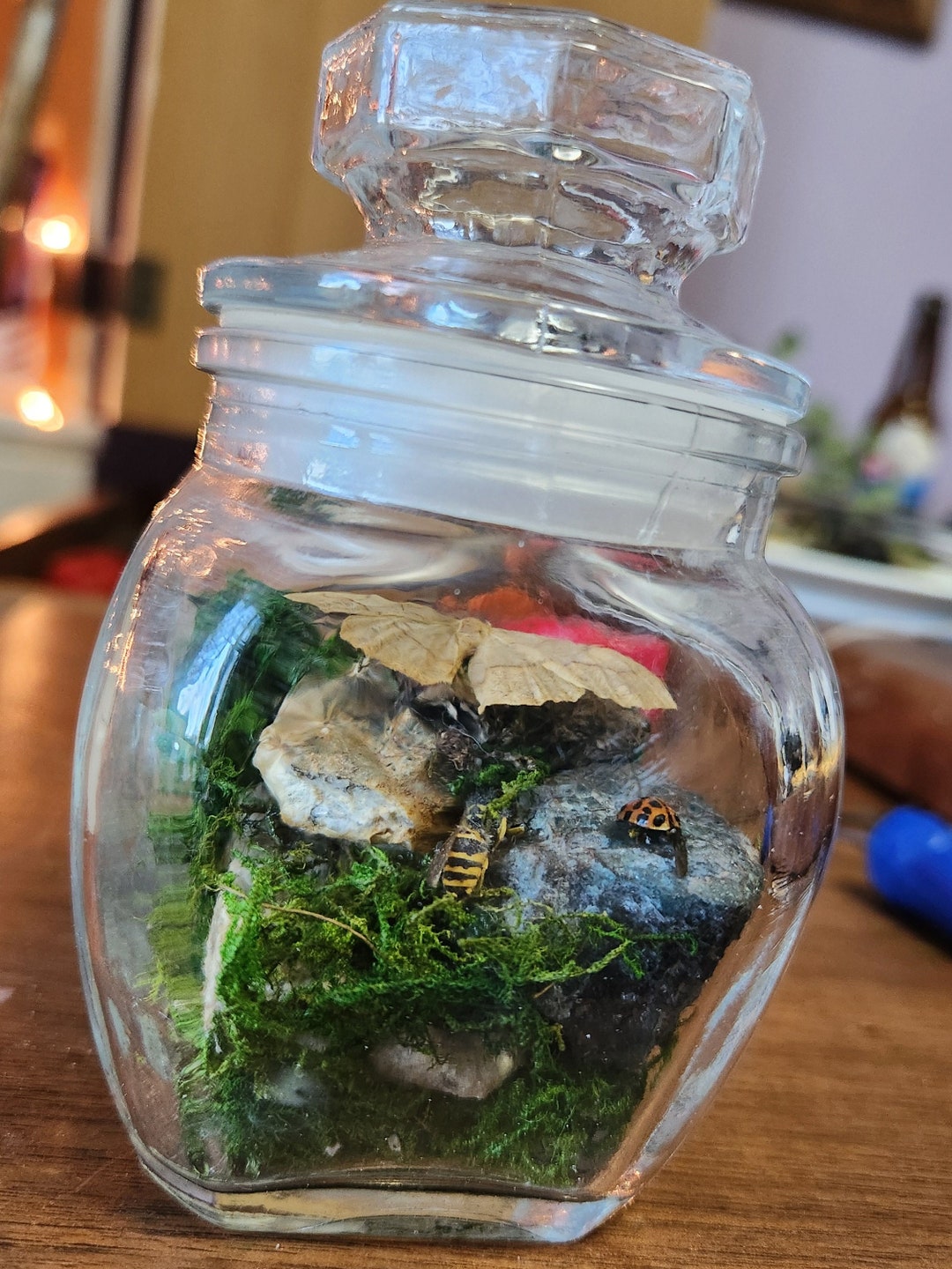Topiary Jar: Ladybug, Honeybee & Moth on Smoky Mountain Quartz, Apatite ...