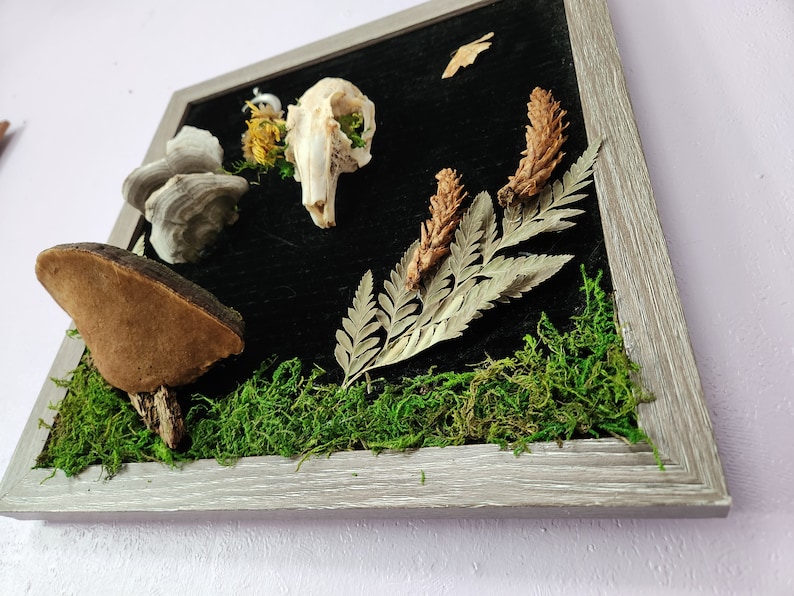 Oddity Art: Moon, Moss & Moth Rabbit Skull With Dried Flowers - Etsy