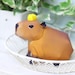 Papercraft Capybara Template - Printable PDF - Etsy