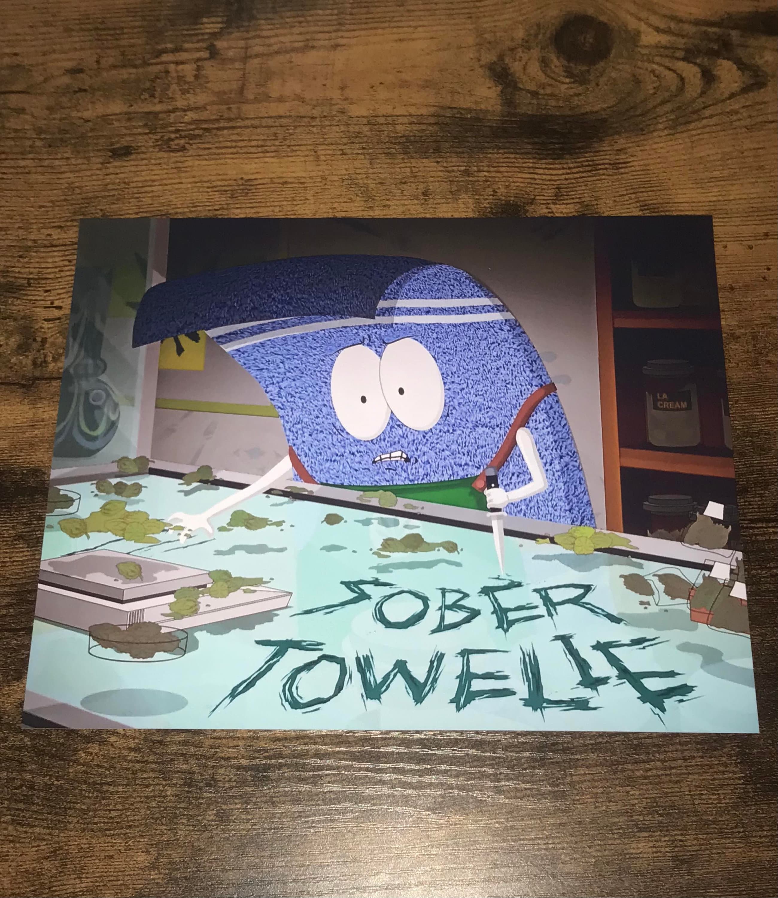 Towelie South Park Quotes