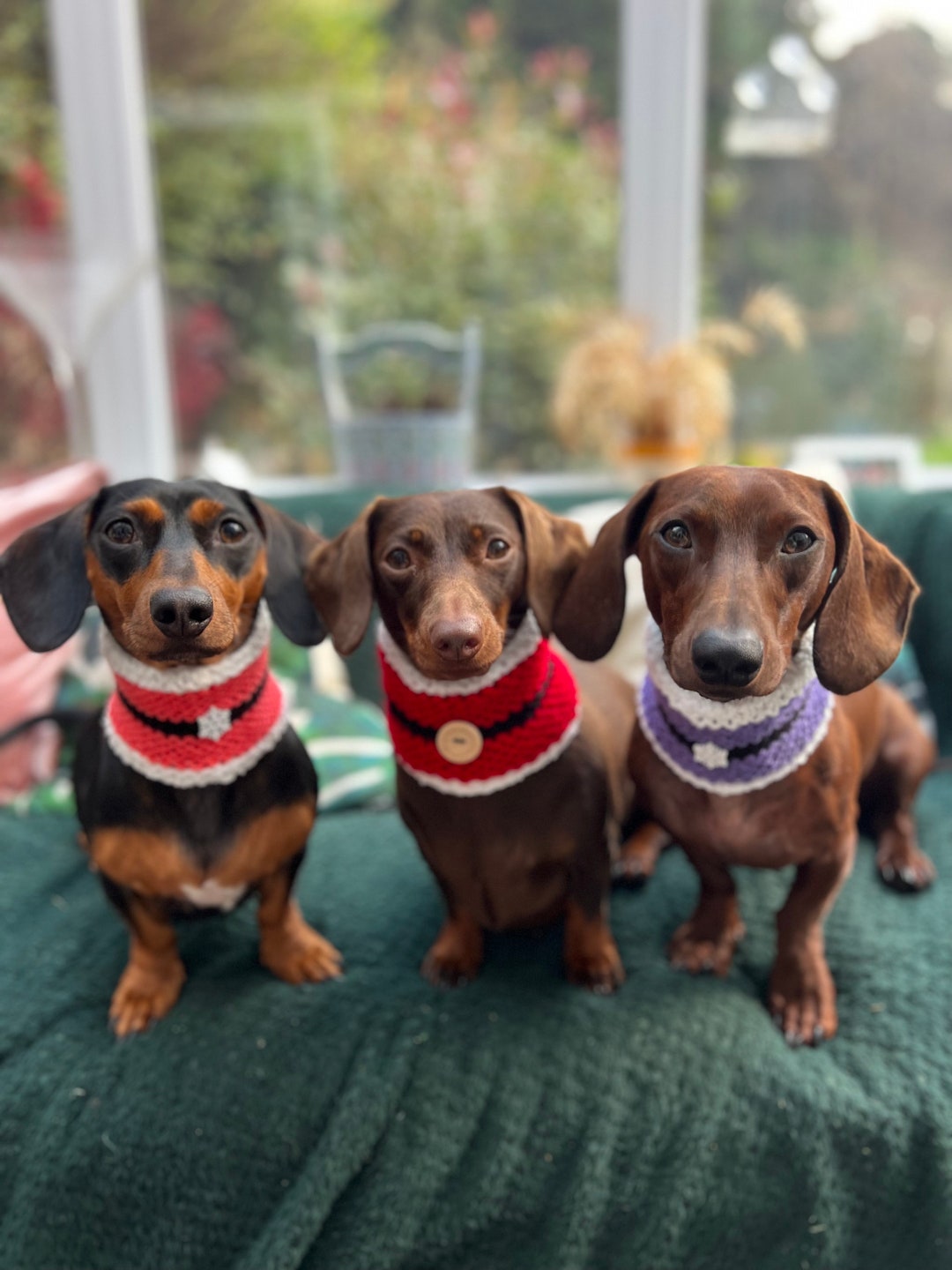 Santa Style Dog Snood, Thin Knitted Christmas Scarf, Tinsel, Dachshund ...