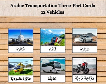 Arabic Human Anatomy for Kids Body Parts in Arabic Organs in Arabic ...