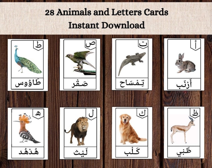 Arabic Alphabet Clip Cards, Arabic Letters Sound, Letters Clip Cards ...