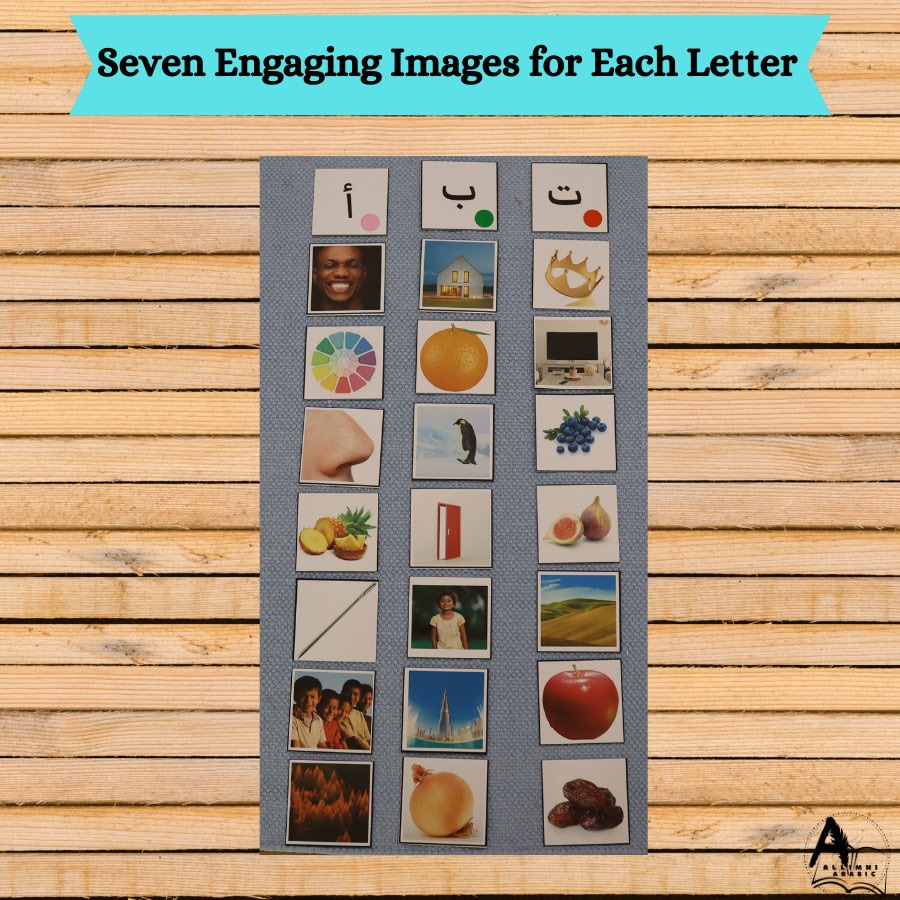 Beginning Sounds Cards in Arabic, Arabic Montessori Alphabet, Arabic ...