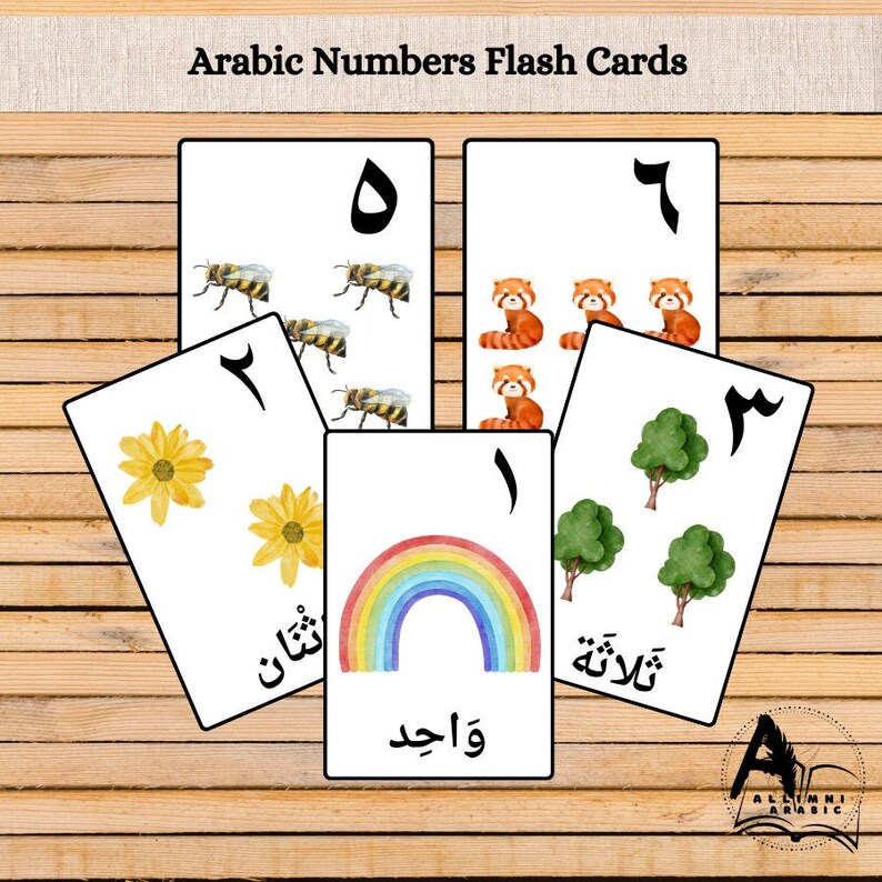 Arabic Numbers Flash Cards - Etsy