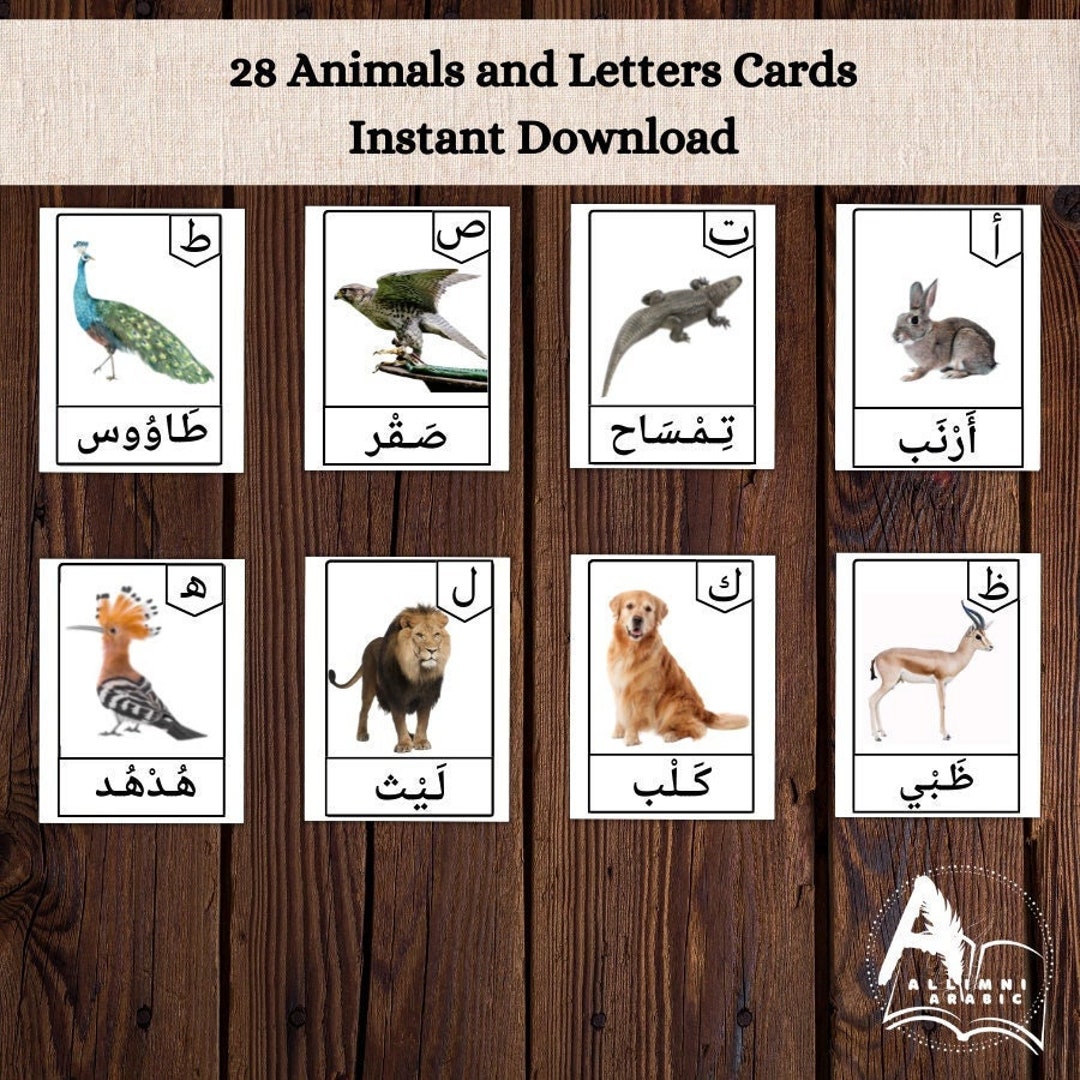 Arabic Letters Montessori Cards, Arabic Alphabet, Arabic Reading ...