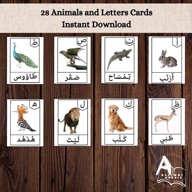 Arabic Letters Montessori Cards, Arabic Alphabet, Arabic Reading ...