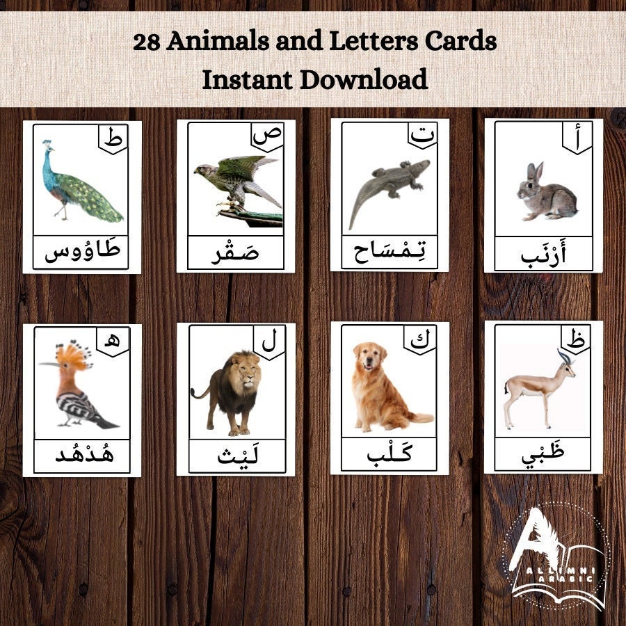 Arabic Letters Montessori Cards, Arabic Alphabet, Arabic Reading ...
