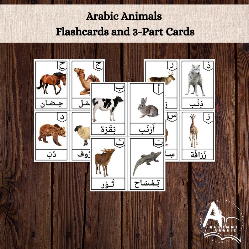Arabic Letters Montessori Cards, Arabic Alphabet, Arabic Reading ...