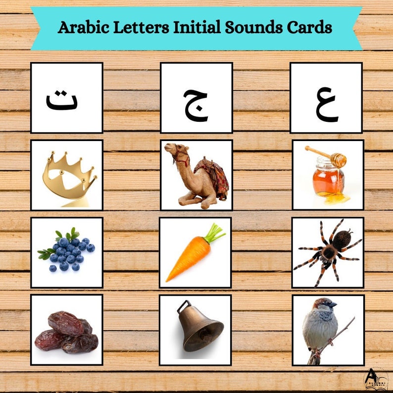 Beginning Sounds Cards in Arabic, Arabic Montessori Alphabet, Arabic ...