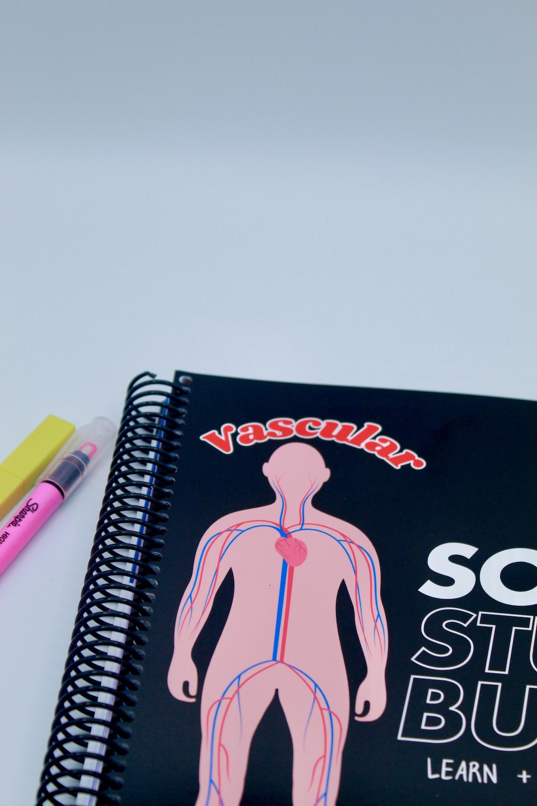 Vascular Ultrasound Workbook – Sono Study Buddy® Spiral Bound Study Guide | Anatomy, Physiology ...