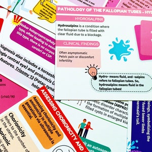 200+ Obstetrics & Gynecology Ultrasound Flashcards | OB/GYN Sonography Board Exam Prep ...